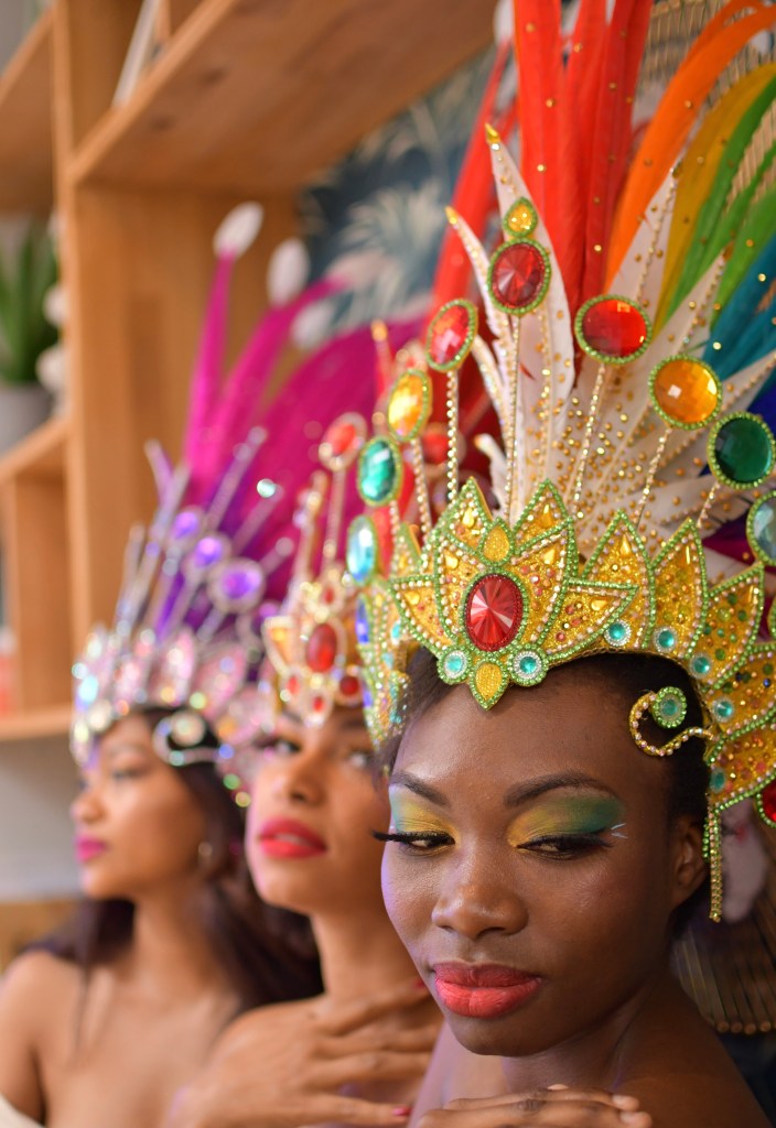 Coiffe Headdress Samba Cabaret Faisan Arc en ciel Rainbow – Atelier ...